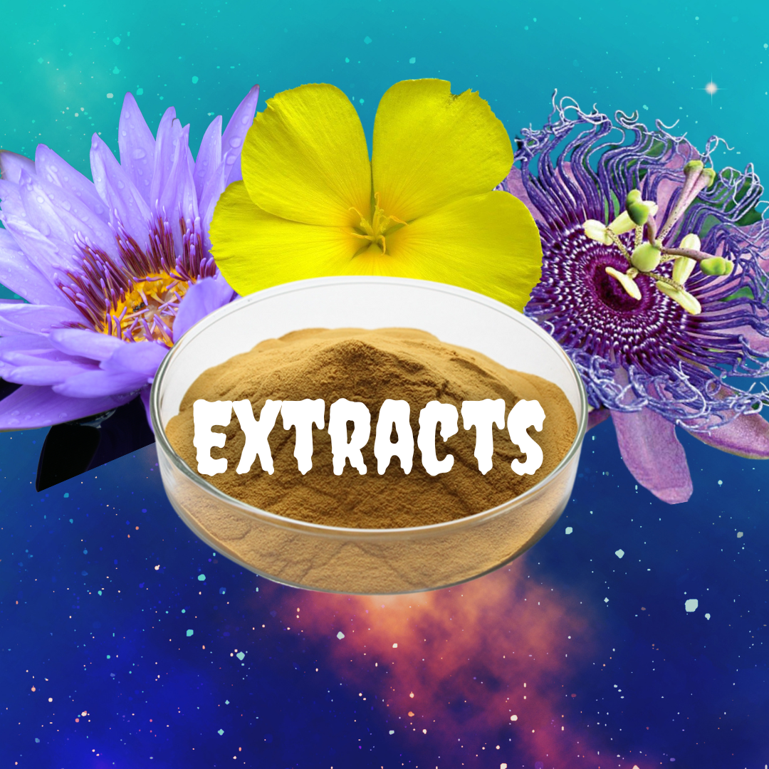 Extracts – Witches Kava